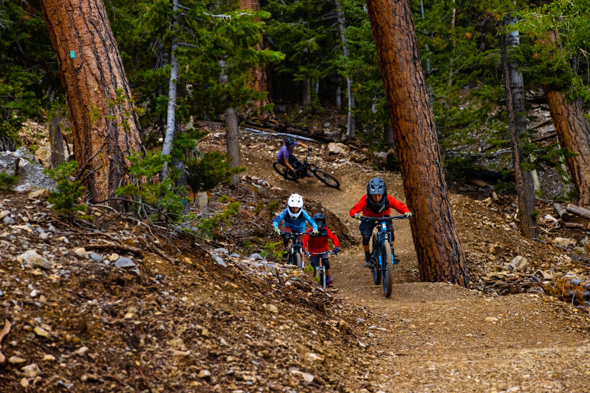 Mountain biking at Lee Canyon
